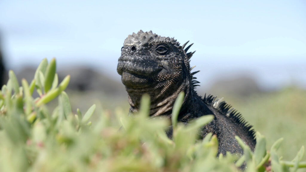 Equator: A New World View - Academy.ca - Academy.ca