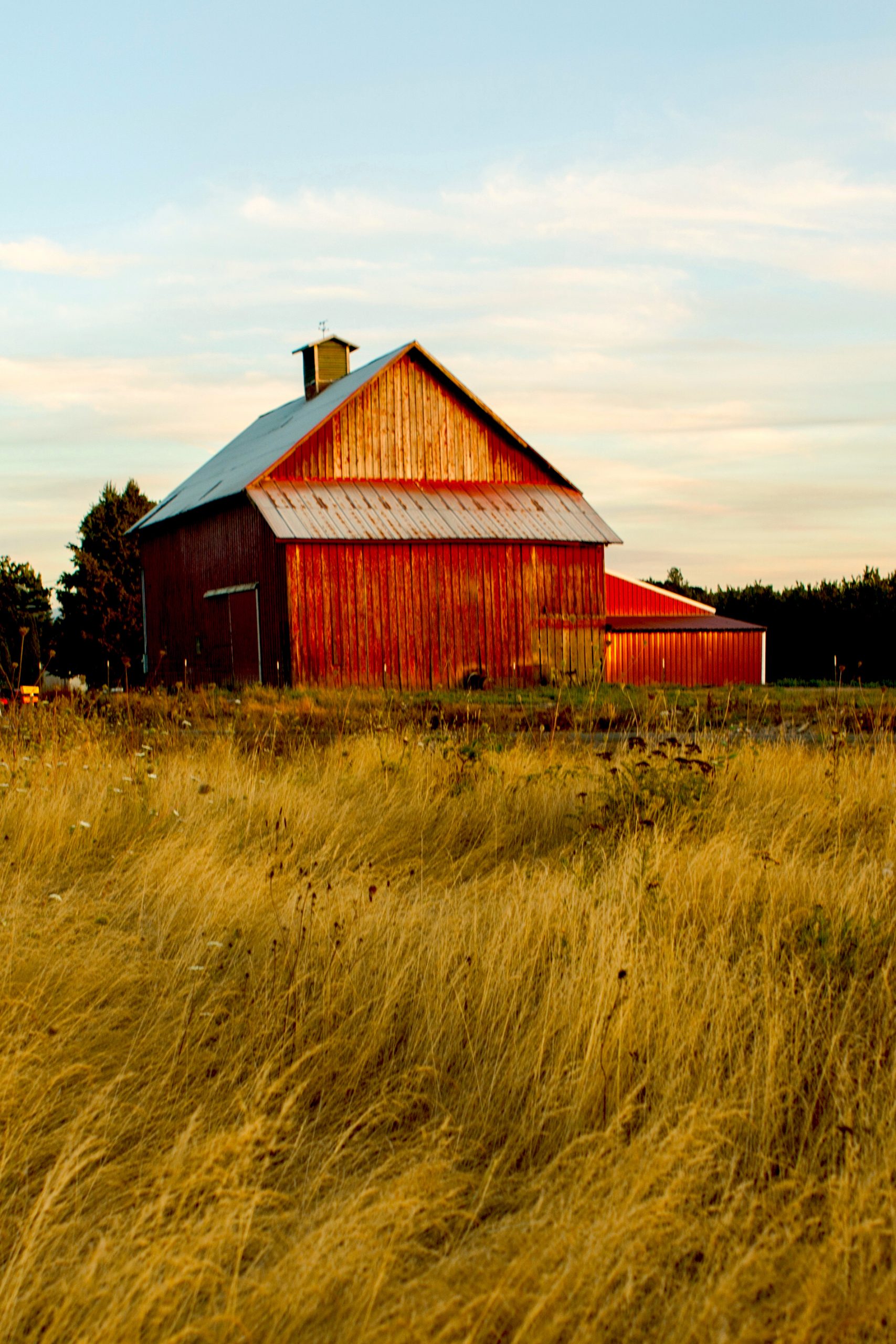 Classic Western American Country Barn - Academy.ca - Academy.ca