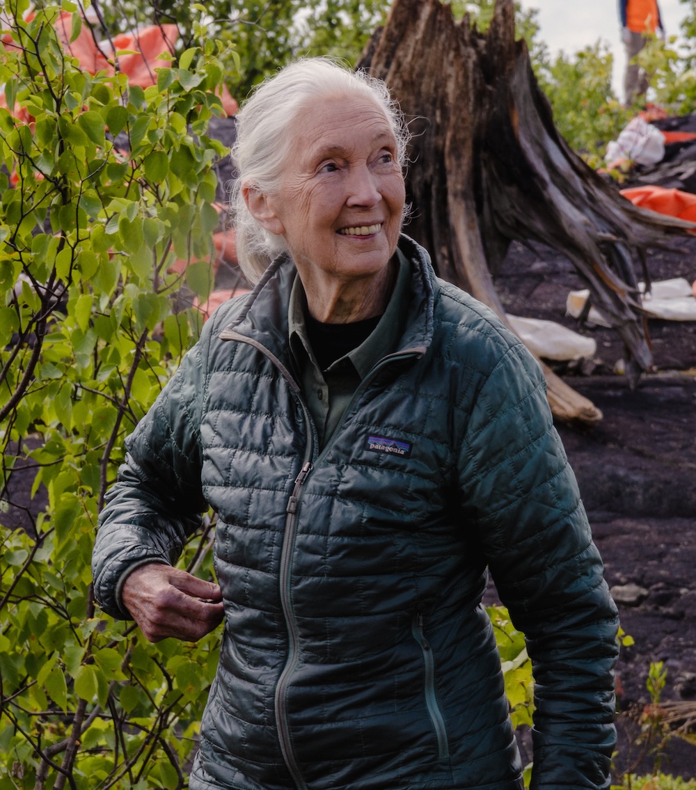 Brian Eimer - Academy.ca - Academy.ca