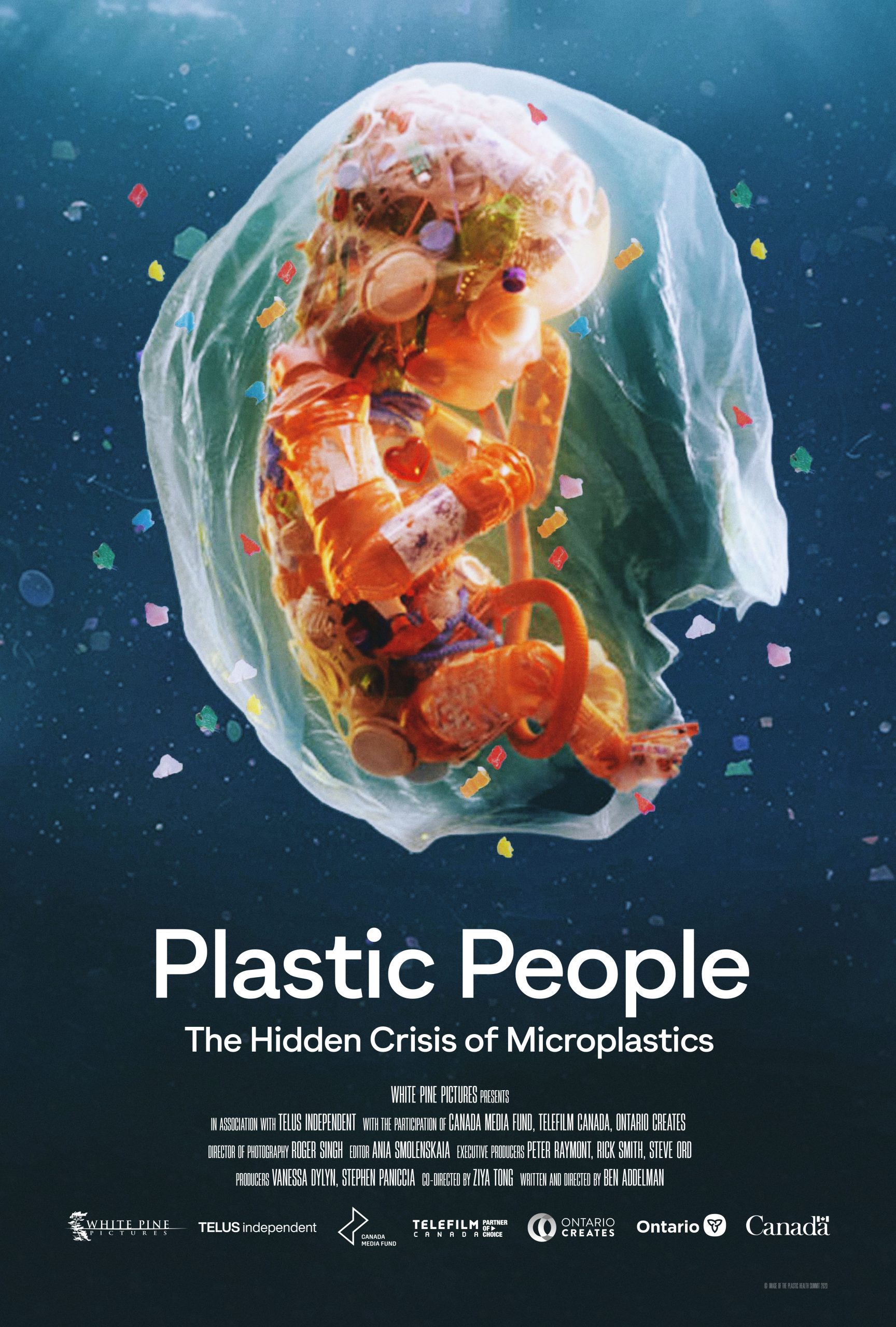 Plastic People: The Hidden Crisis of Microplastics - Academy.ca ...