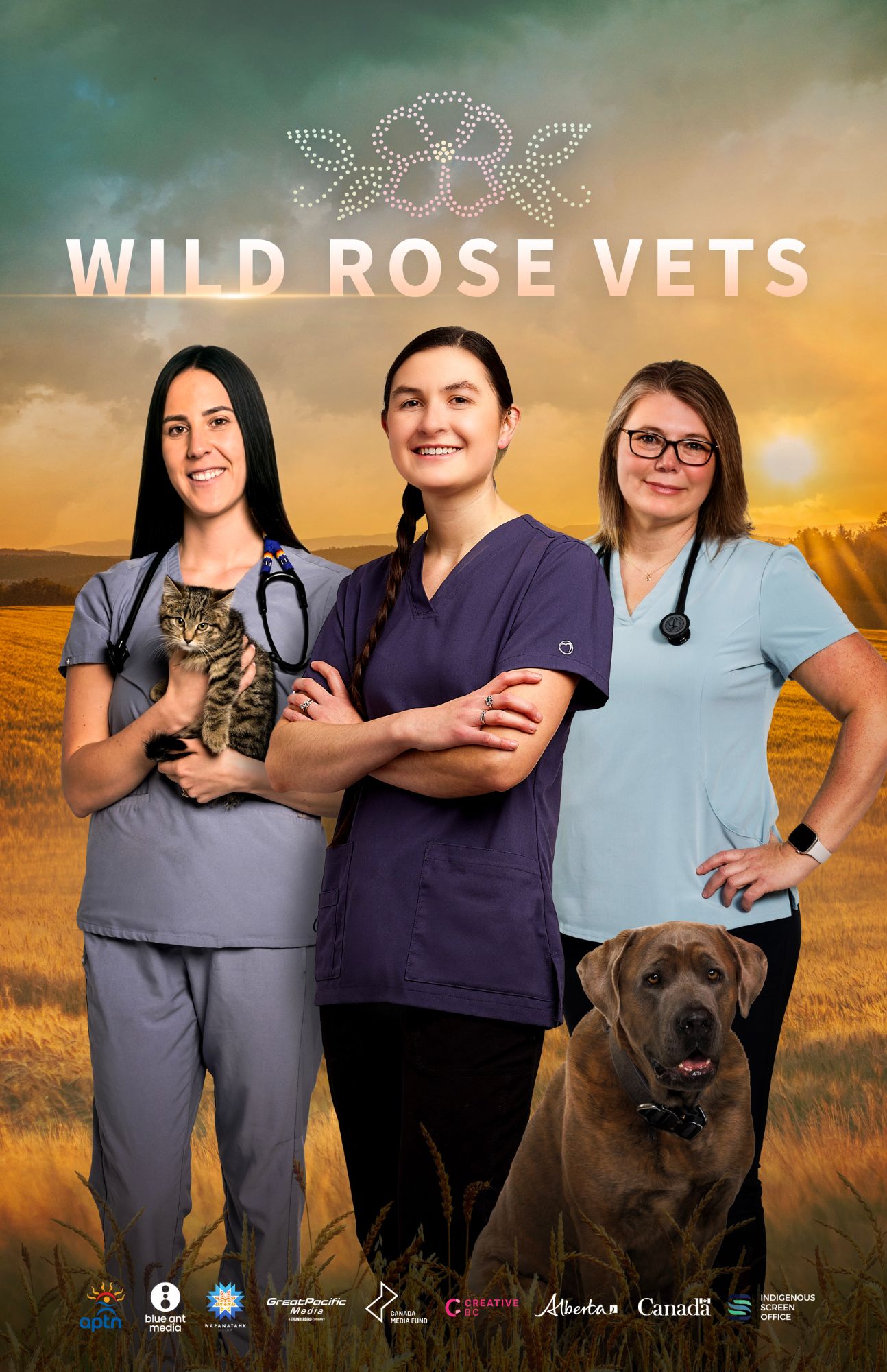 Wild Rose Vets - Academy.ca - Academy.ca